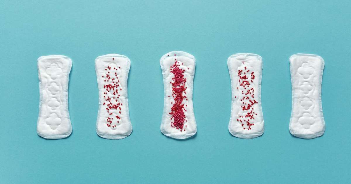 Menstruação: tudo que você precisa saber sobre o assunto