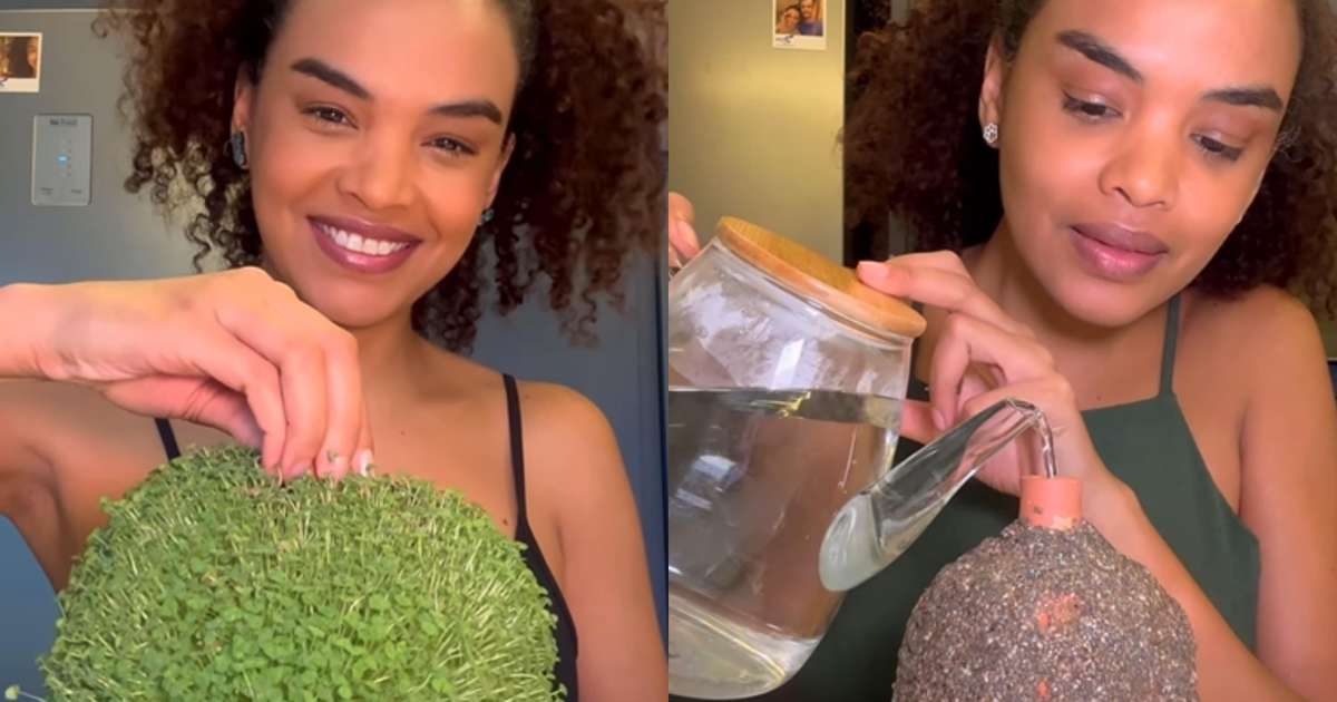 Lucy Ramos ensina a cultivar chia em casa; semente é aliada na dieta