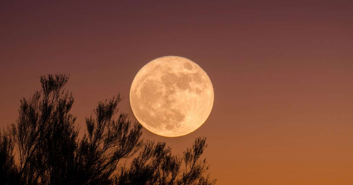 Muita intensidade na primeira Lua Cheia de 2024: as previsões de 21 a 27/01