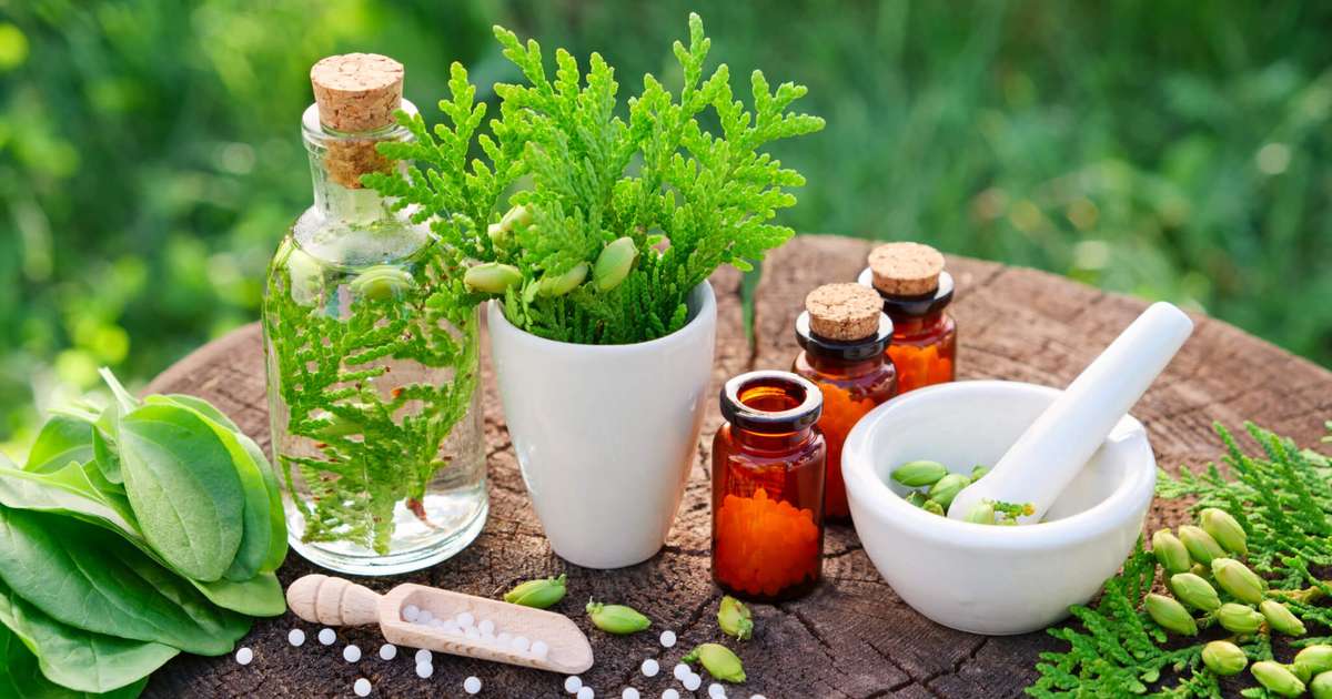 16 dicas para usar e armazenar a medicação homeopática