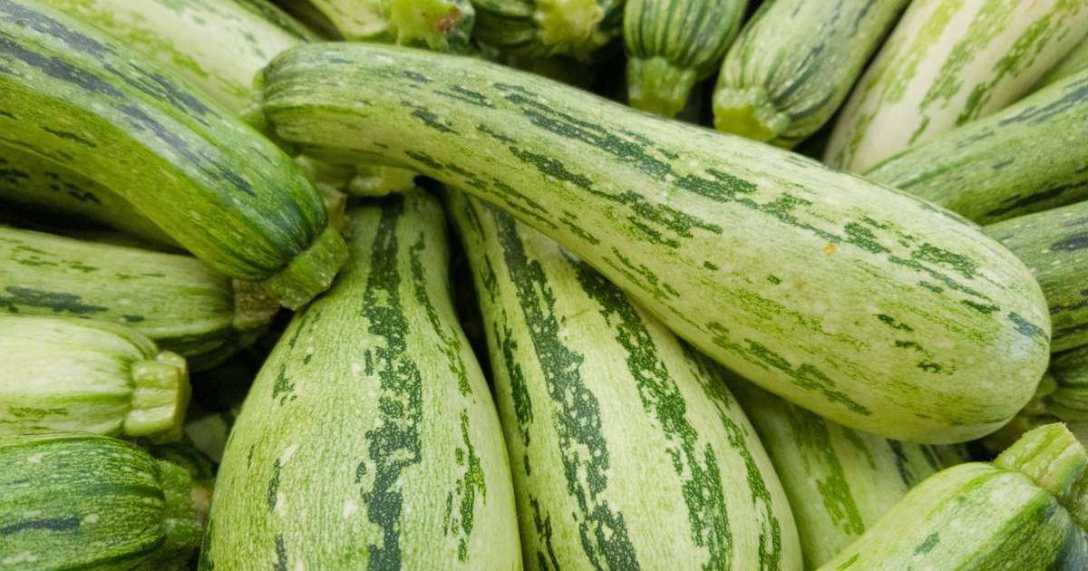 Benefícios da abobrinha: 4 motivos para incluir na sua alimentação