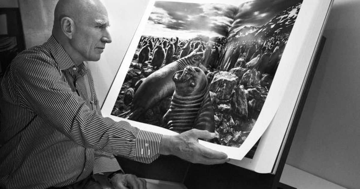 Sebastião Salgado anuncia aposentadoria da fotografia