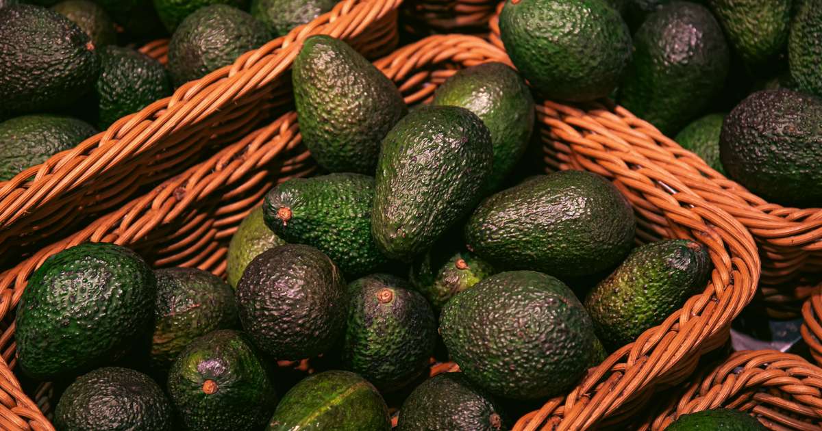 Avocado: características e benefícios da fruta