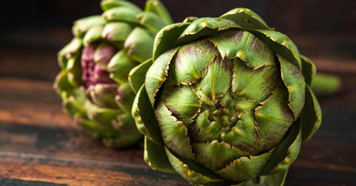 Alcachofra fornece vários benefícios à saúde; confira 10 deles