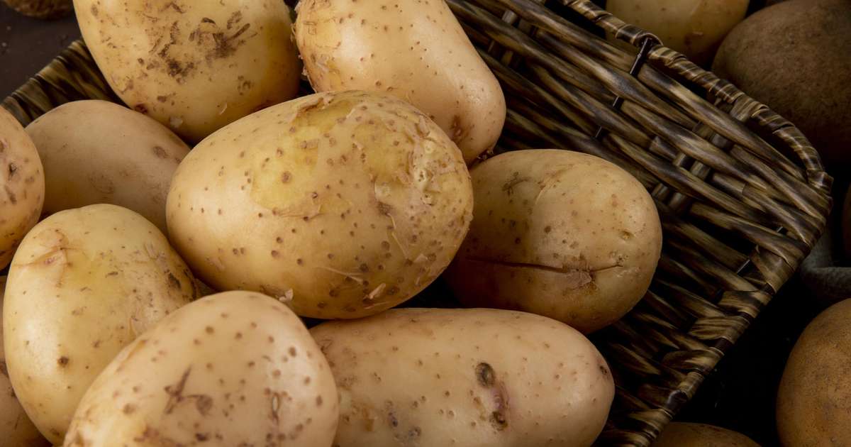 Tipos de batata: confira quais são eles e como usar cada um na cozinha
