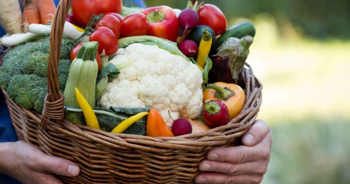 8 benefícios dos legumes para a saúde