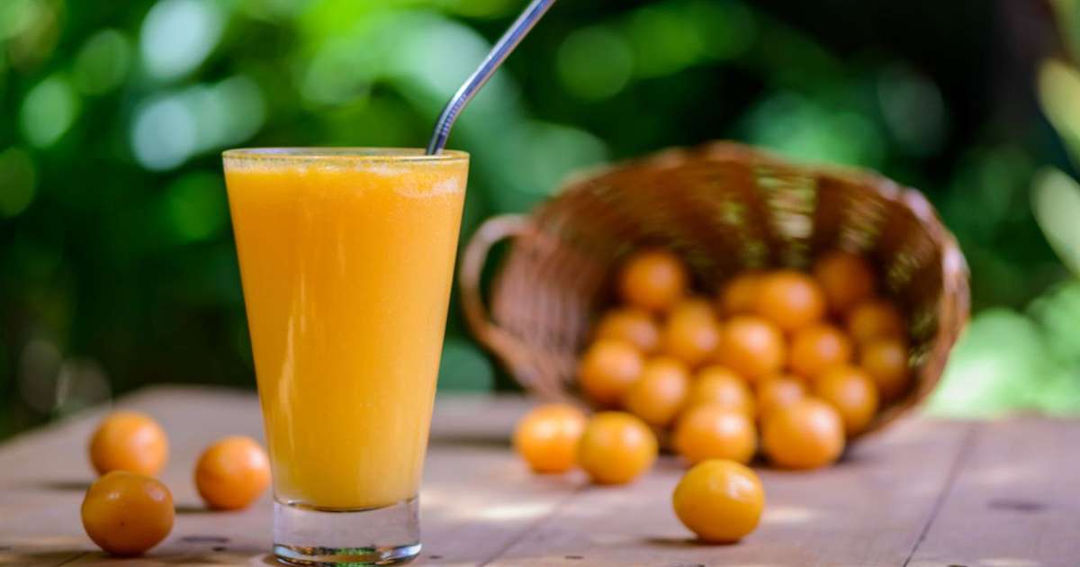 Suco de cajá: aprenda o jeito fácil de como fazer a bebida