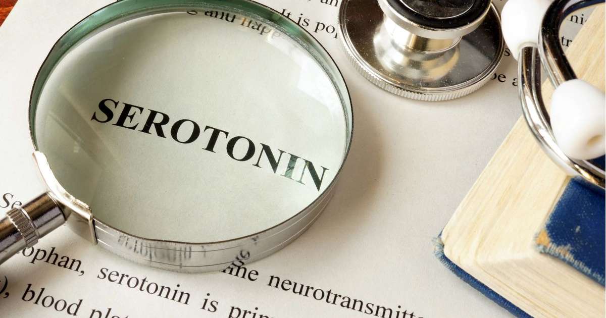 Serotonina: entenda a sua importância para o organismo