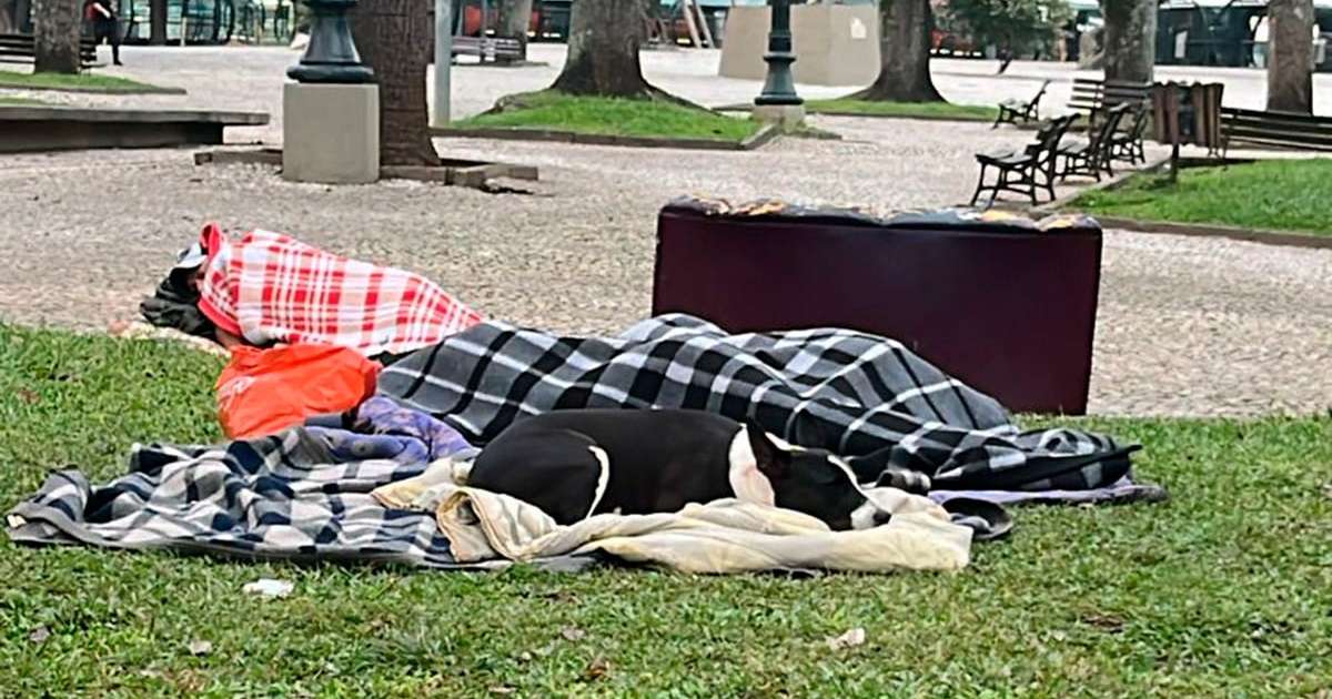 Homem que usava cachorro em roubos é pego no flagra após atacar mulher ... Homem que usava cachorro em roubos é pego no flagra após atacar mulher ...