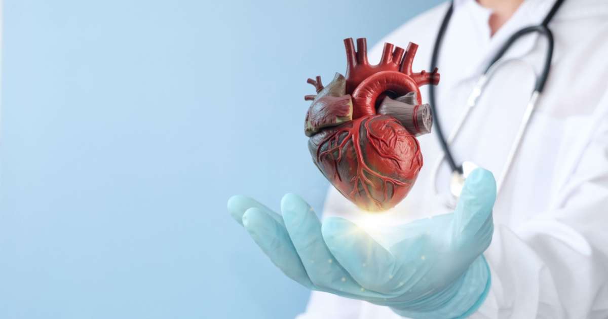 Males do coração: veja como prevenir as doenças cardíacas