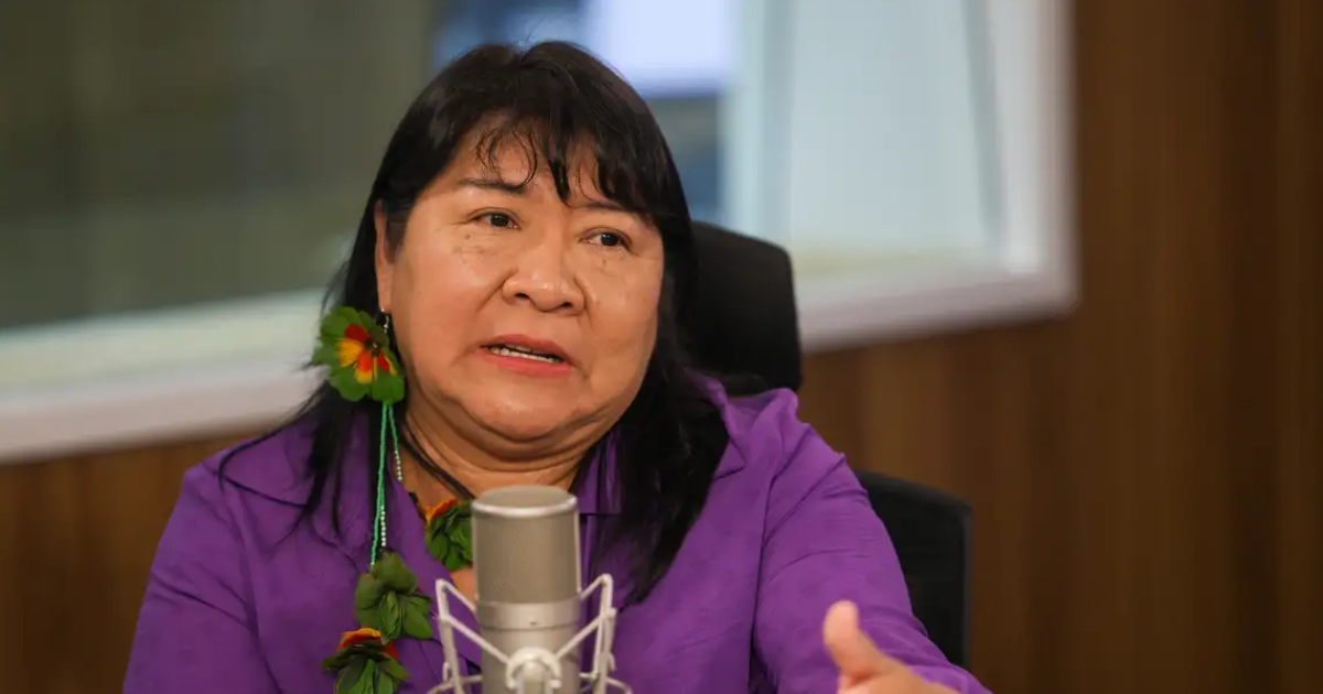 Proteção é a demanda dos povos indígenas, diz presidente da Funai