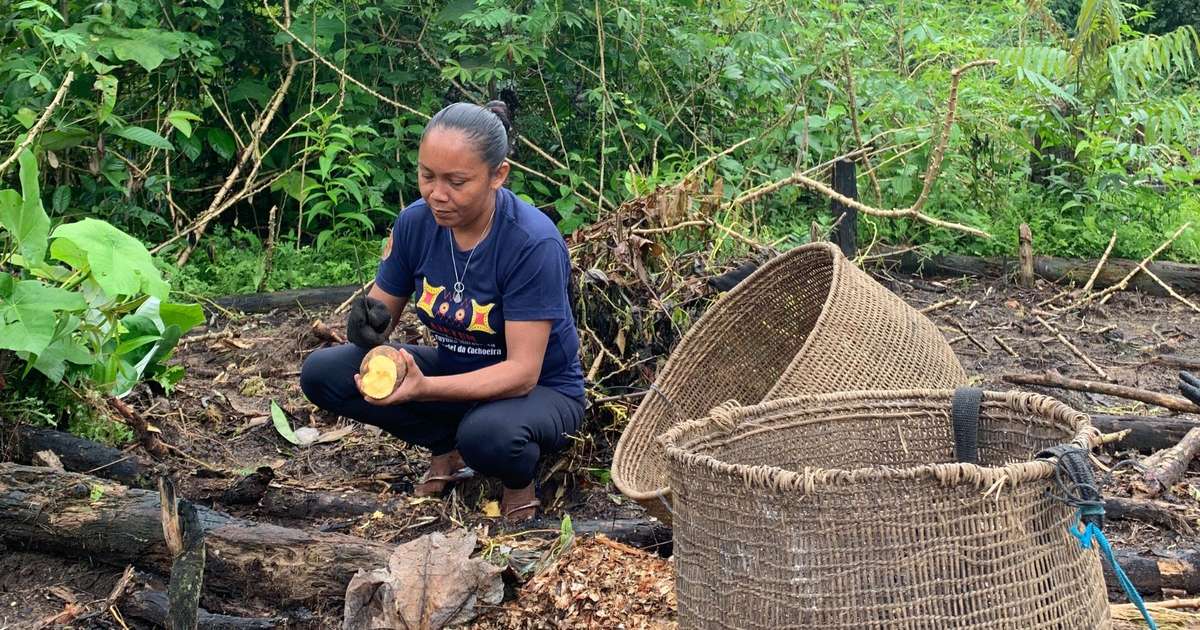 Povo Tuyuka e a mandioca: símbolo de resistência indígena na Amazônia