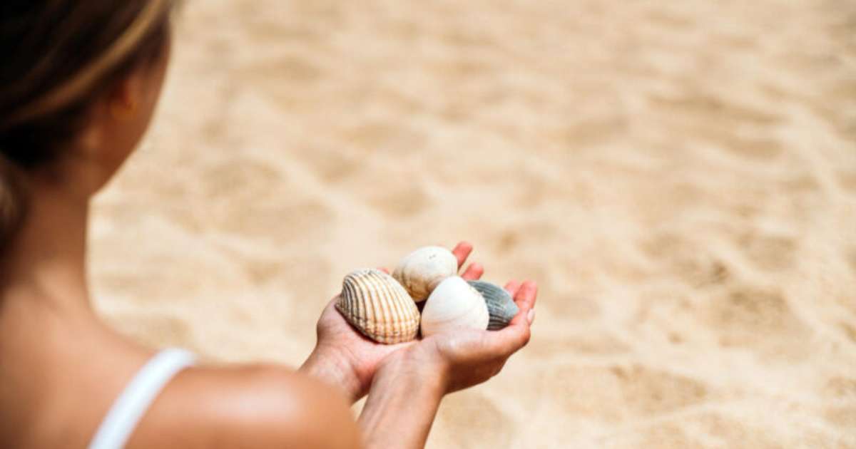 Sabia que catar concha na praia é crime? Entenda