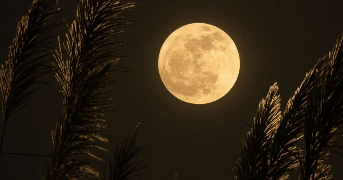 Lua Cheia em Escorpião escancara as crises na semana de 21 a 27/04