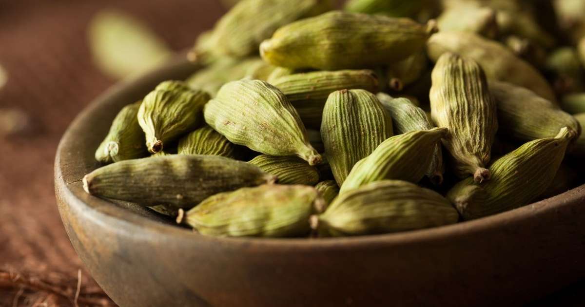 Cardamomo: conheça 6 benefícios para a saúde