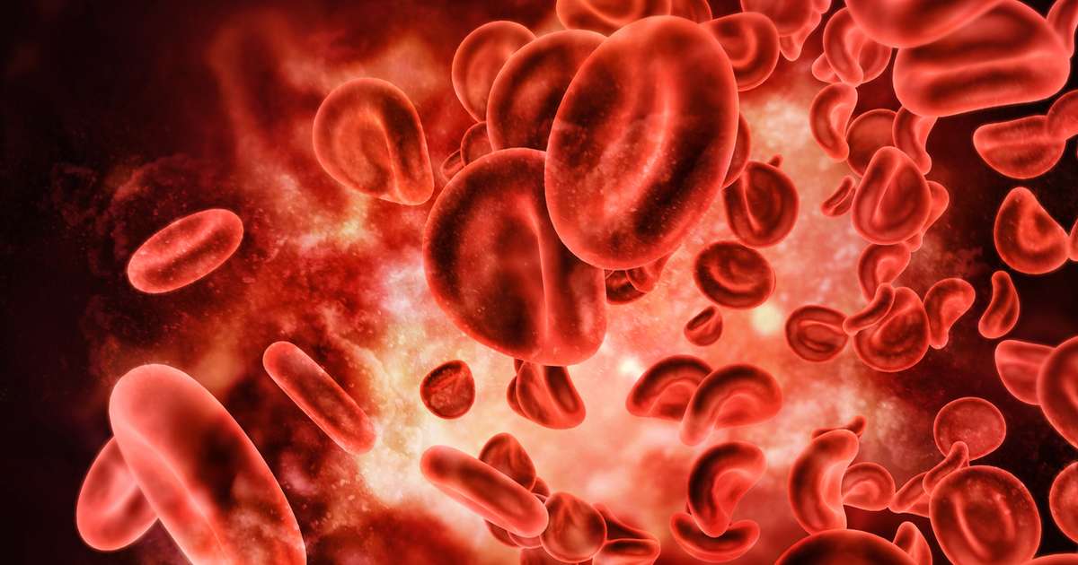 Alimentos que aumentam as plaquetas: conheça 5!