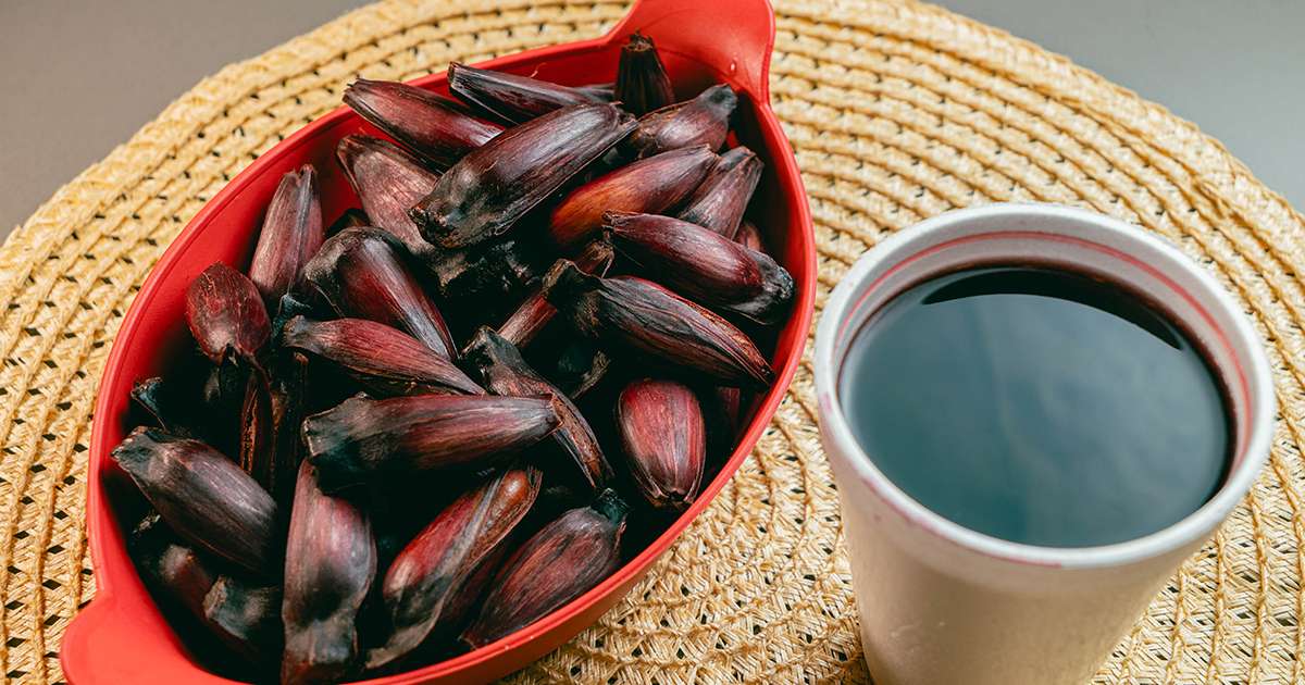 De yakisoba a sorvete: Festival do Pinhão em Curitiba tem opções ...