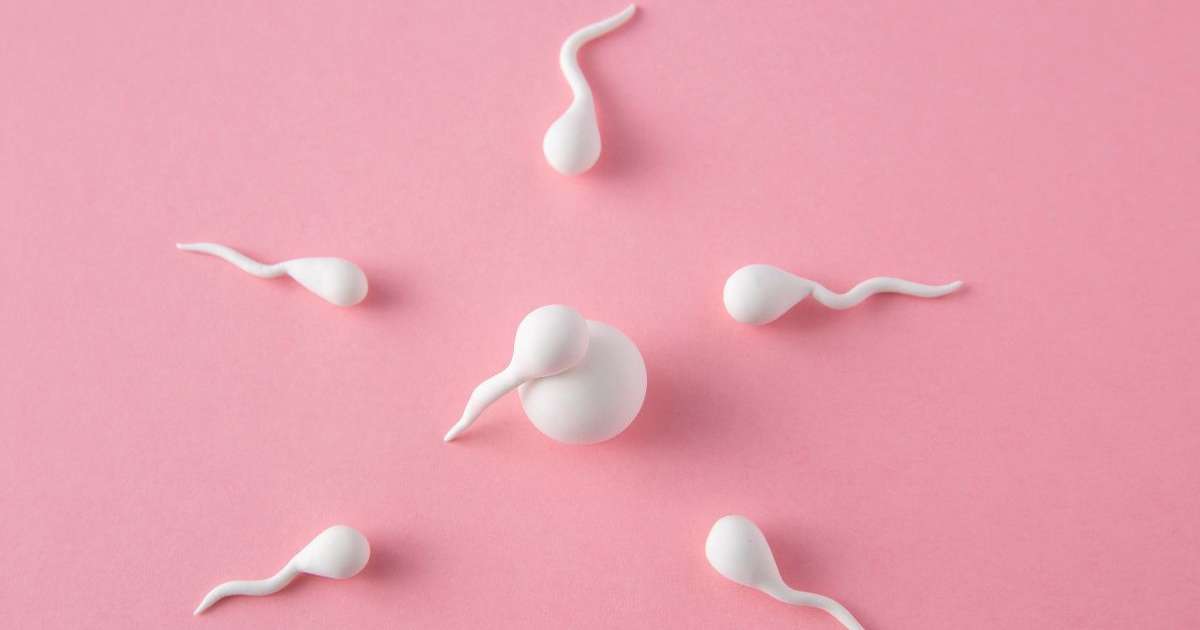 Como saber se estou ovulando? Conheça 4 sinais