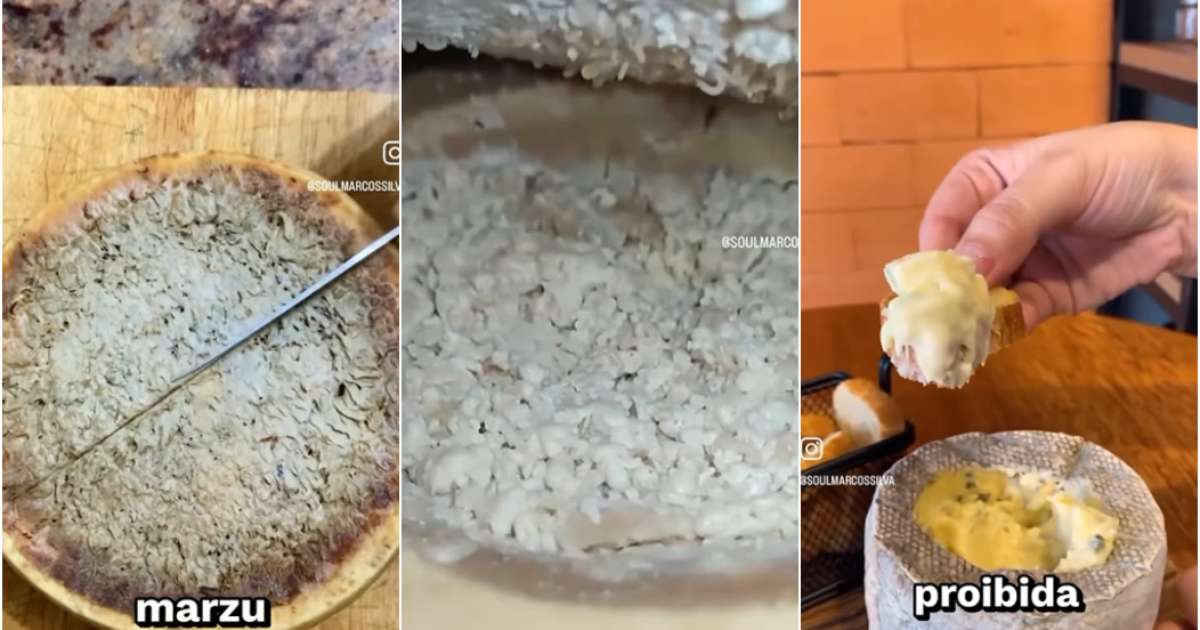 Queijo servido com larvas é iguaria na Itália; é seguro comer?