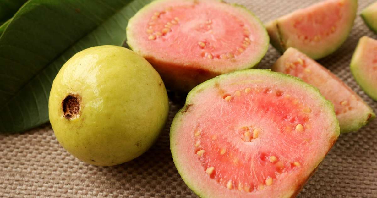 Chá de folha de goiaba: quais os benefícios e como usar nos cabelos