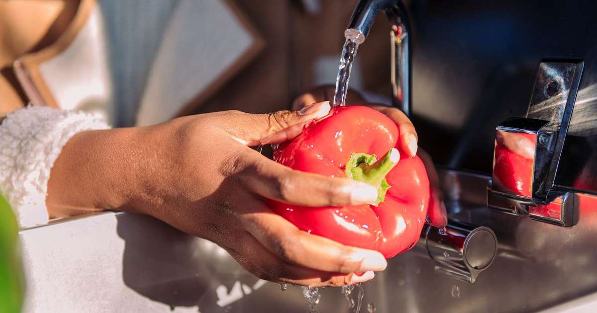 Intoxicação alimentar: veja como manusear os alimentos de forma segura