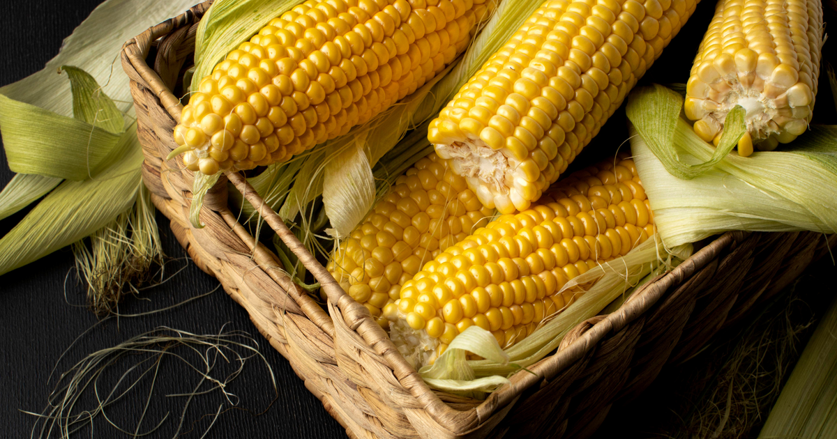 4 alimentos com origem indígena que não faltam nas festas juninas