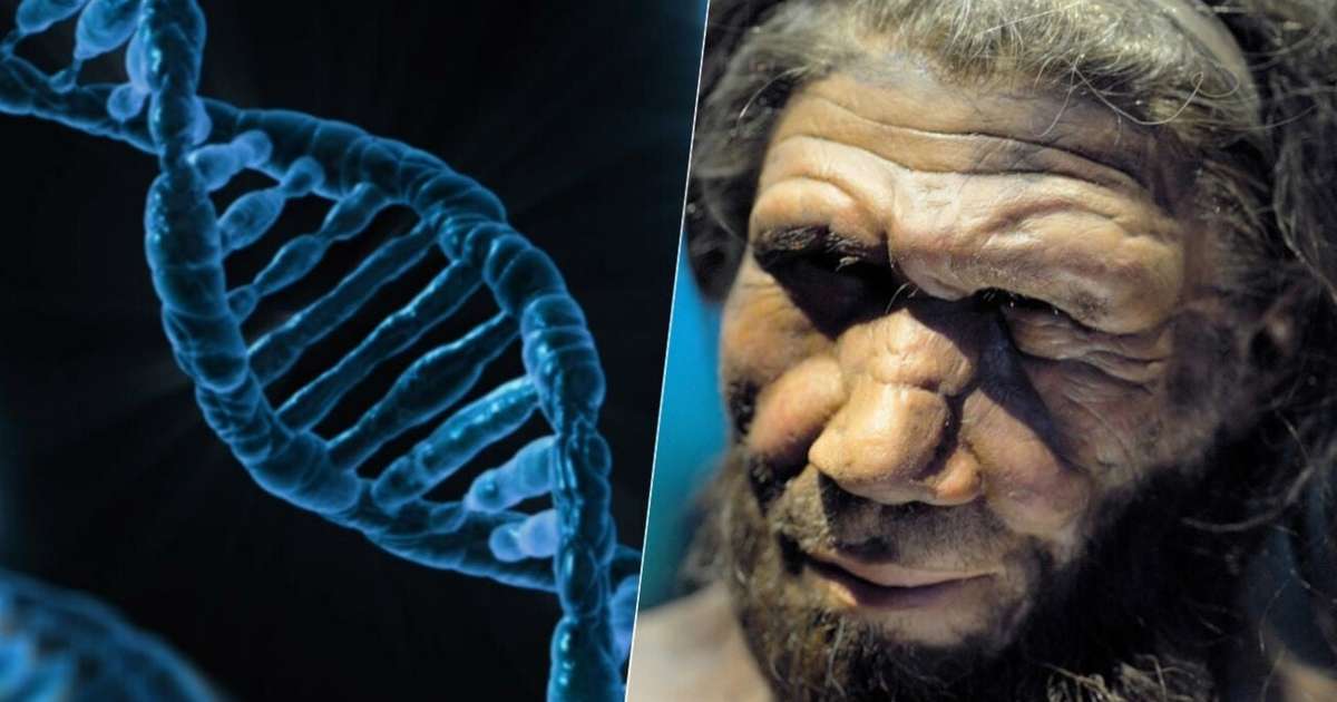 Há muito tempo sabemos que carregamos DNA de Neandertal. Agora estamos ...