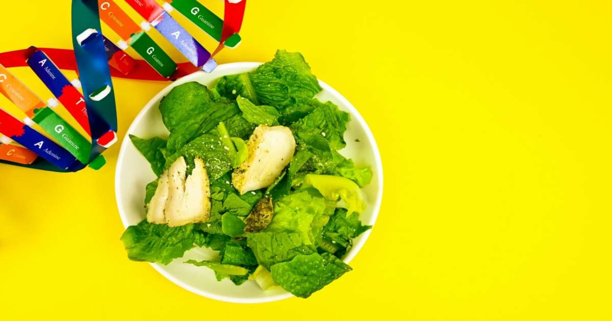 Estudo aponta benefícios de dieta baseada no DNA