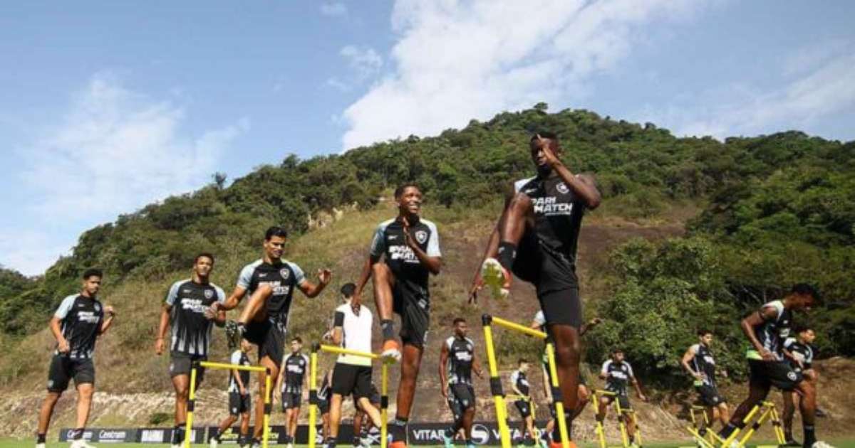 Botafogo promove troca nos gramados do Espaço Lonier