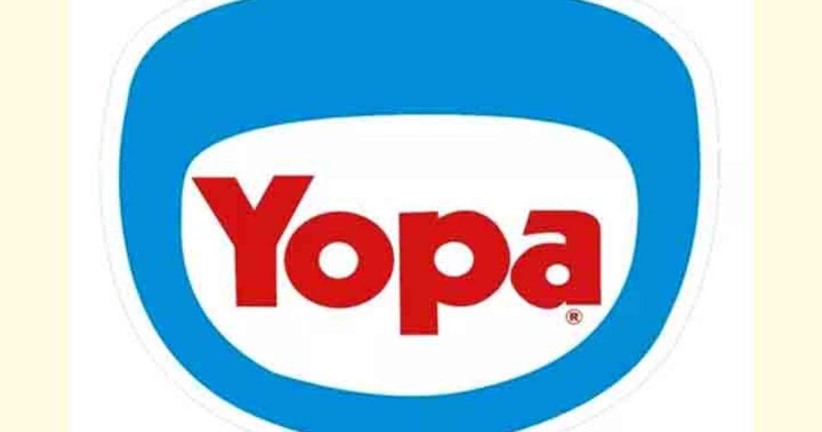 Do sucesso ao declínio: a história dos picolés e sorvetes da Yopa