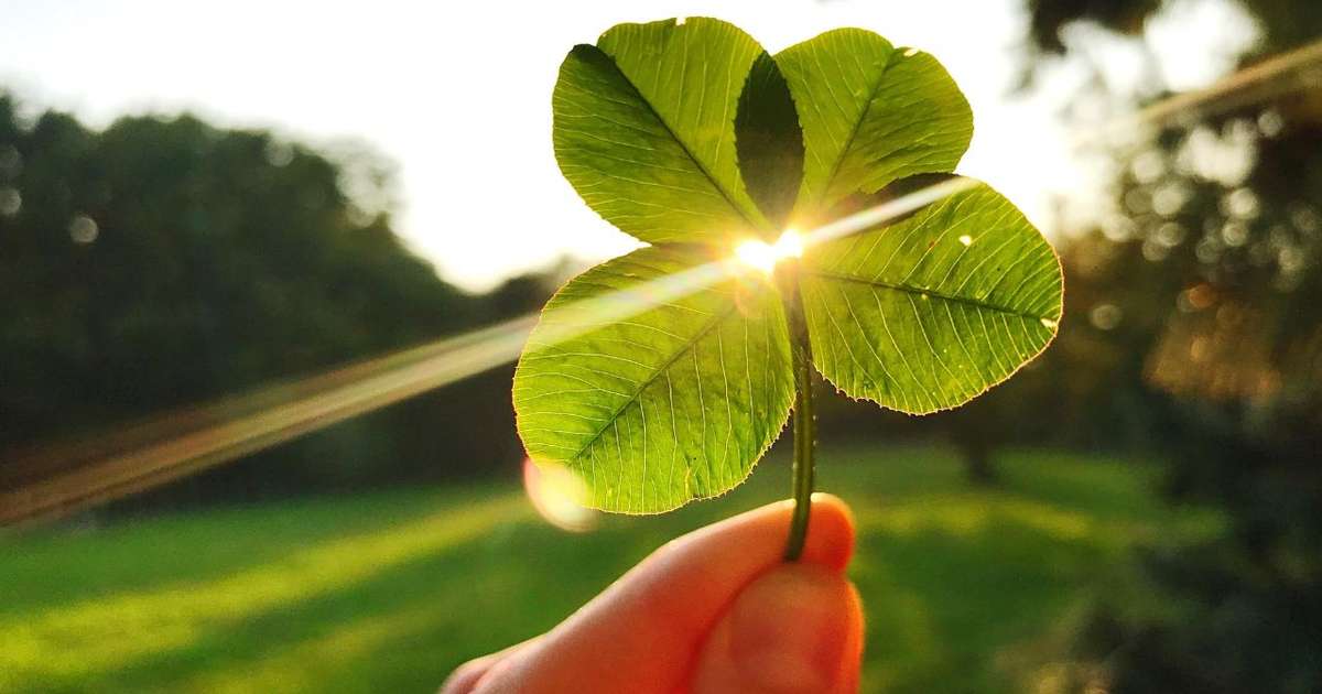 7 amuletos da sorte para carregar com você sempre que precisar