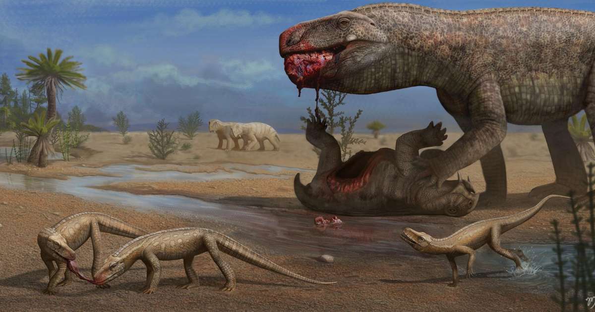 Fóssil mais antigo que os dinossauros é encontrado no Rio Grande do Sul