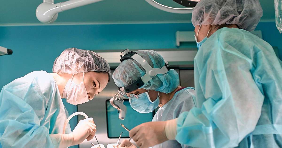 'Fresh frozen': quais são as regras para uso de cadáveres em cursos no ...