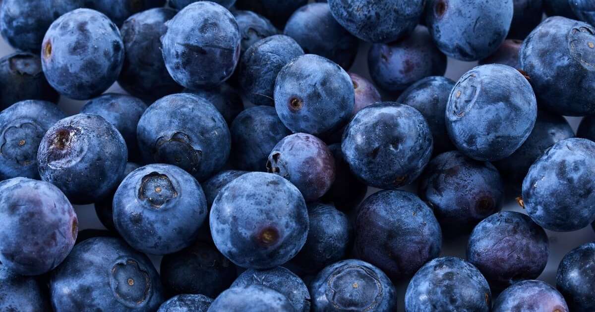 7 benefícios do mirtilo para a saúde