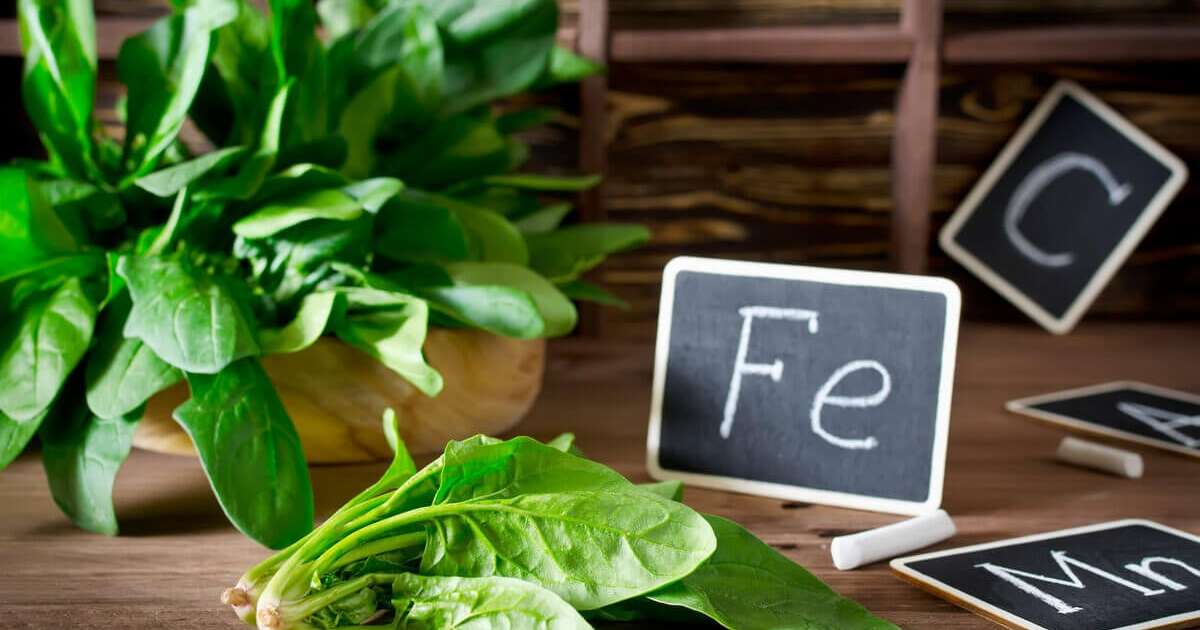 11 alimentos ricos em ferro para aumentar a disposição