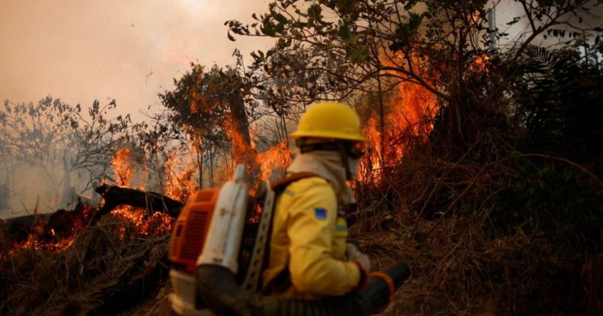 Incêndios na floresta amazônica brasileira atingem em agosto maior ...