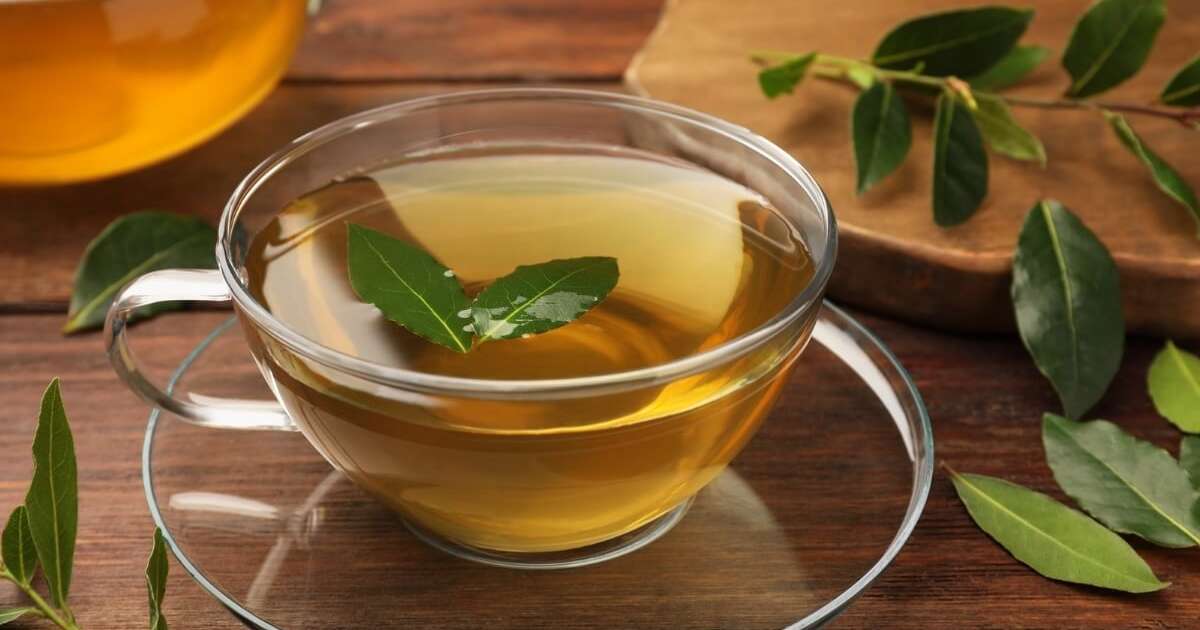 7 benefícios do chá de louro para a saúde e como prepará-lo