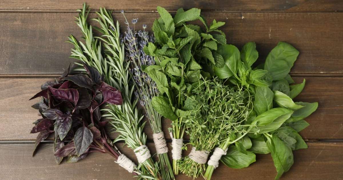 Dicas da Benzedeira: benzimento e a nossa ancestralidade