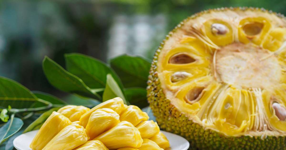 Jaca é uma das frutas campeãs em nutrientes; confira benefícios