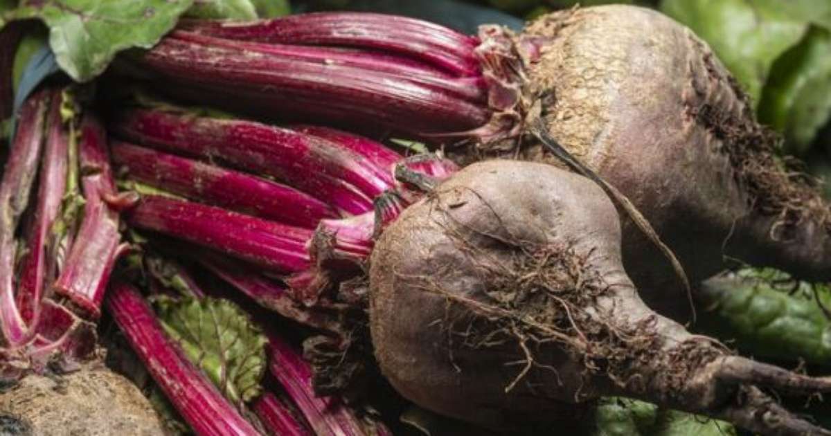 Conheça os benefícios da beterraba para a sua saúde