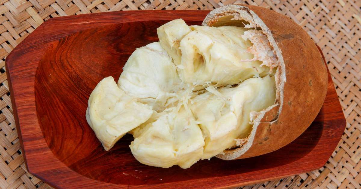 Cupuaçu: saiba mais sobre o superalimento da floresta amazônica