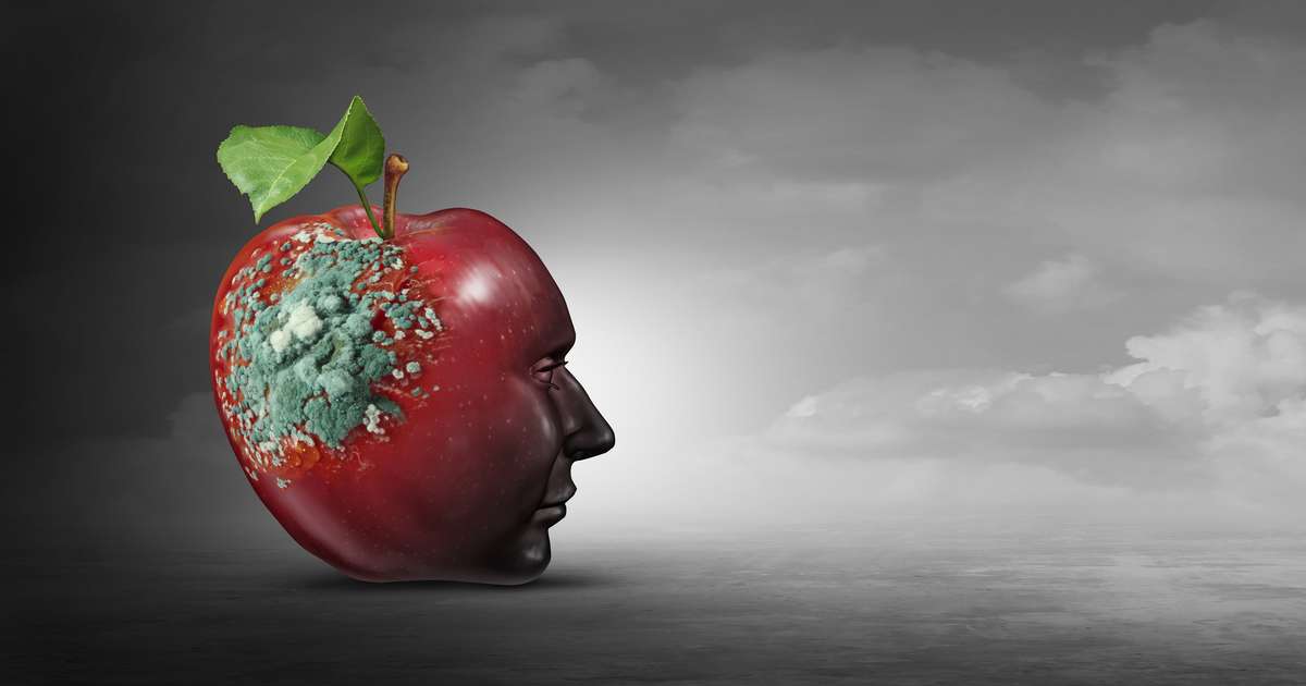 Brain rot é o termo do ano: saiba como se proteger