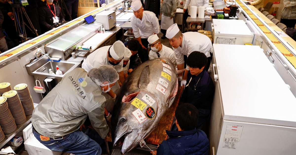Atum de 276 kg é leiloado por quase R$ 8 milhões em Tóquio; veja fotos