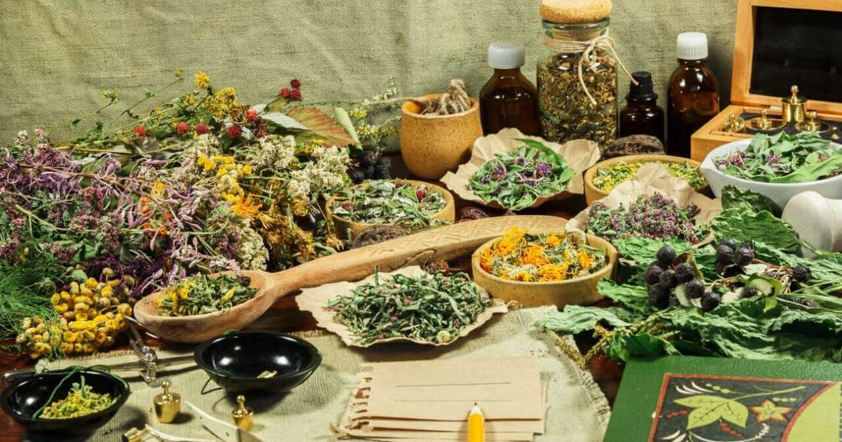 Descubra o poder do Xamã