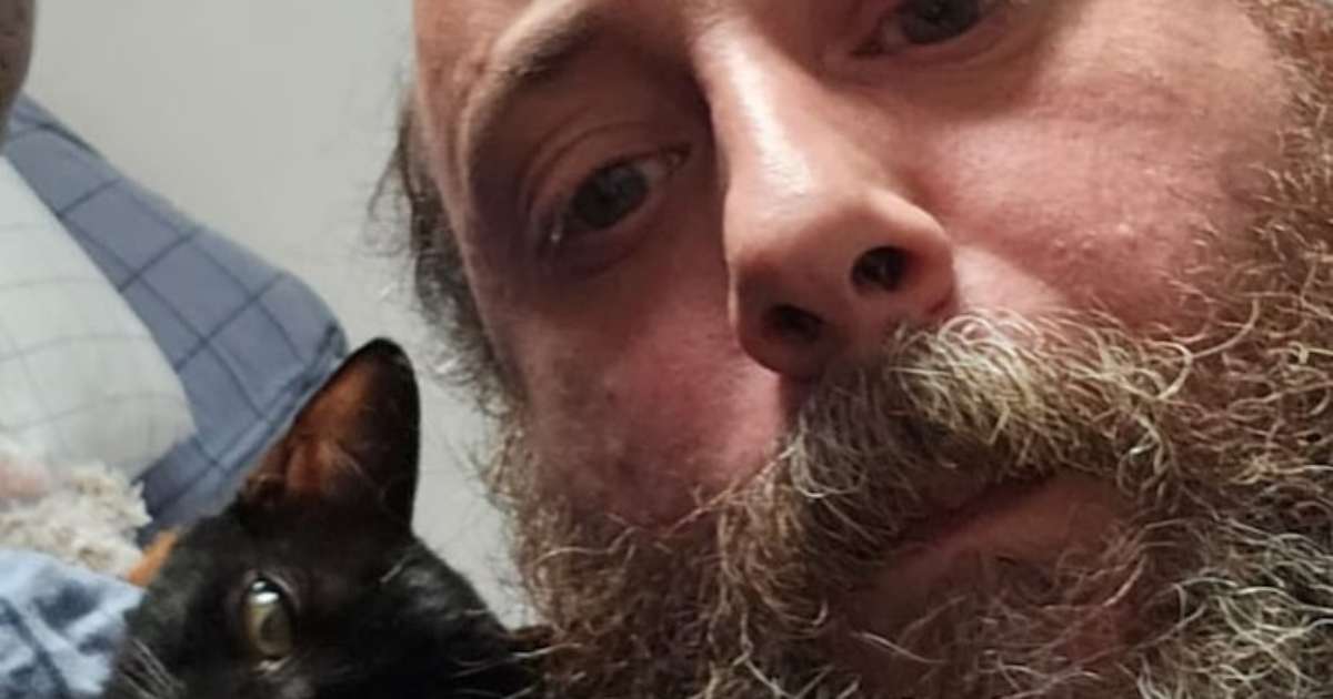 André Conti sai de licença da Todavia depois de relato de Vanessa ...