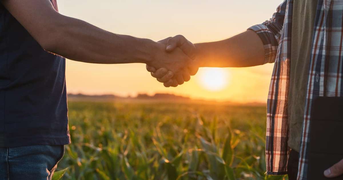 Syngenta e Olfar Agro fecham parceria para apoiar agricultores