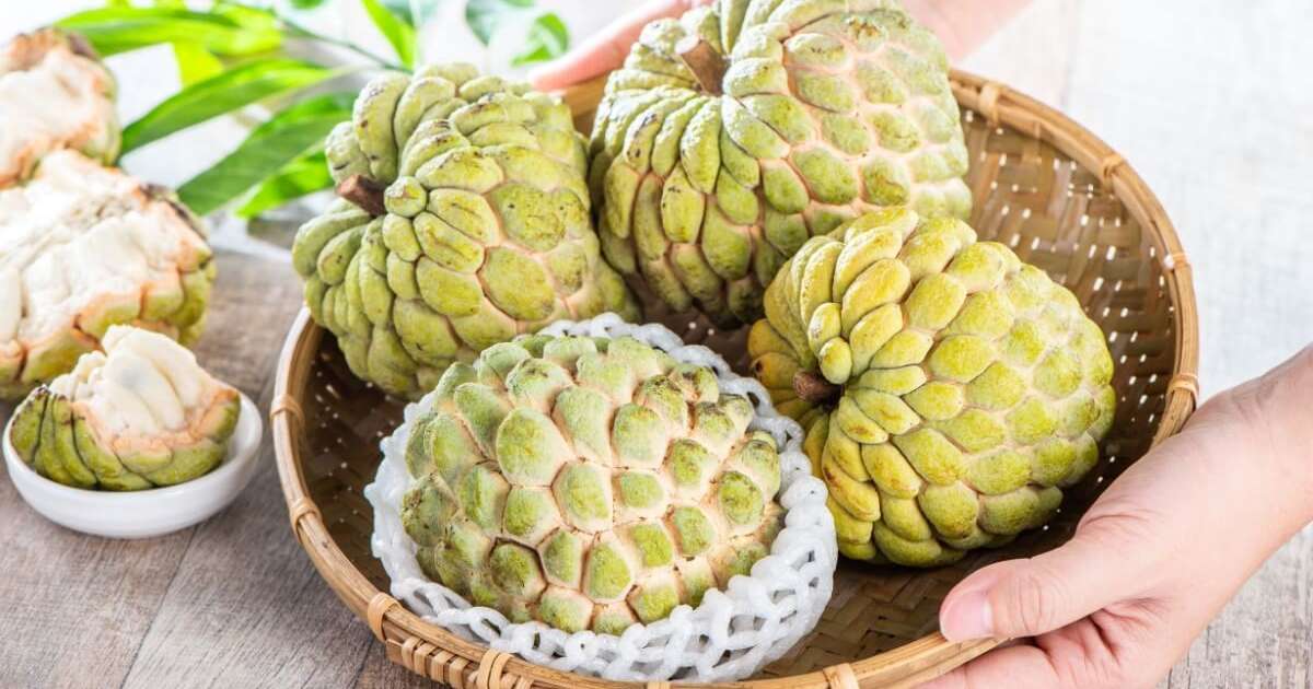 7 benefícios da fruta-do-conde para a saúde