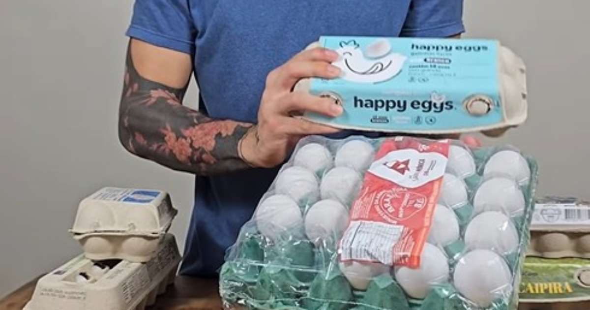 Ovo branco ou vermelho? Qual é o melhor? Veja o ranking com 15 marcas