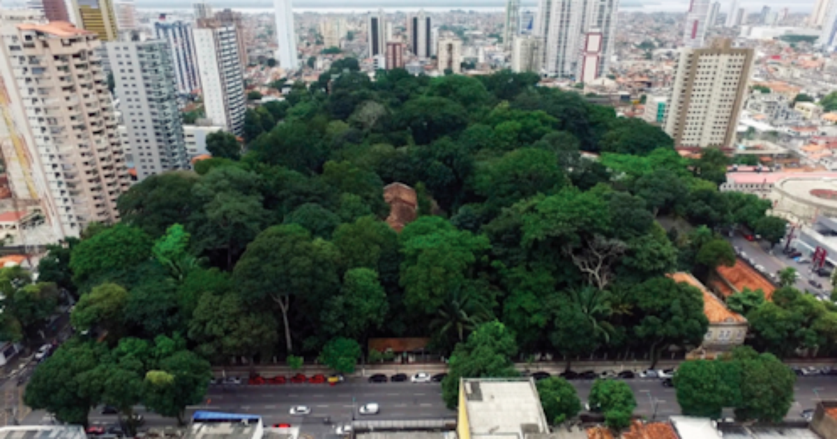 Conferência do clima: entenda o que é a COP e sua importância