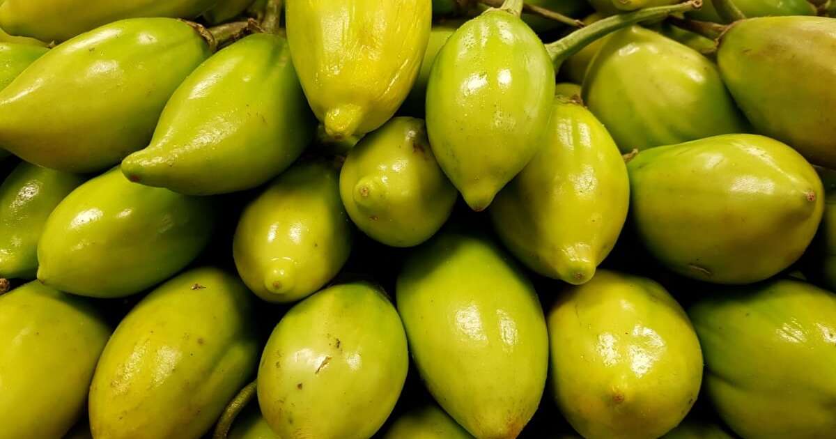 7 benefícios do jiló para a saúde e como consumi-lo